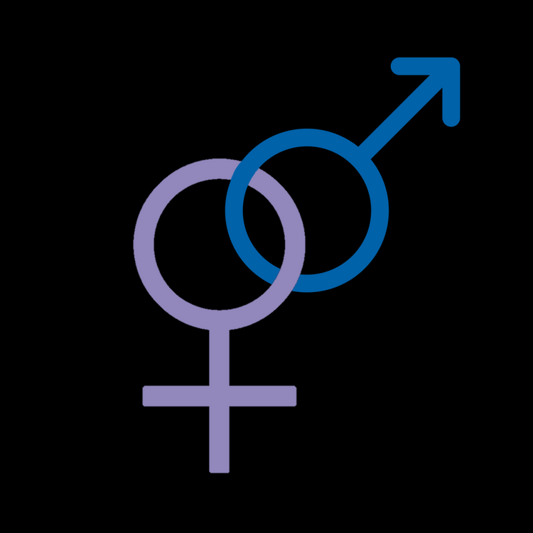 Collections – Shantibaba Seeds